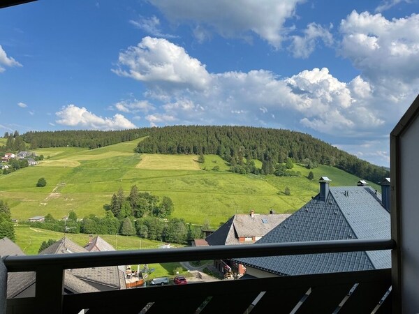 Ferienwohnung/app. Für 7 Gäste Mit 50m² In Todtnau- Todtnauberg (184188) - Belchen