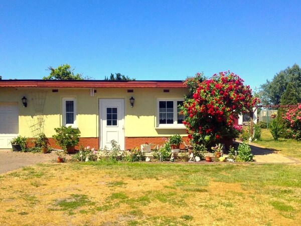 Bungalow Für 4 Gäste Mit 54m² In Pruchten (185656) - Prerow