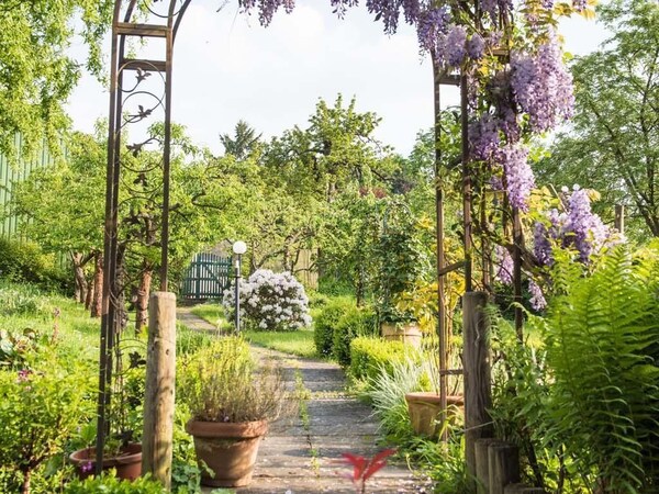 Junior Suite Gartenblick - Ferienresidenz Brauneberger Hof - Bernkastel-Kues
