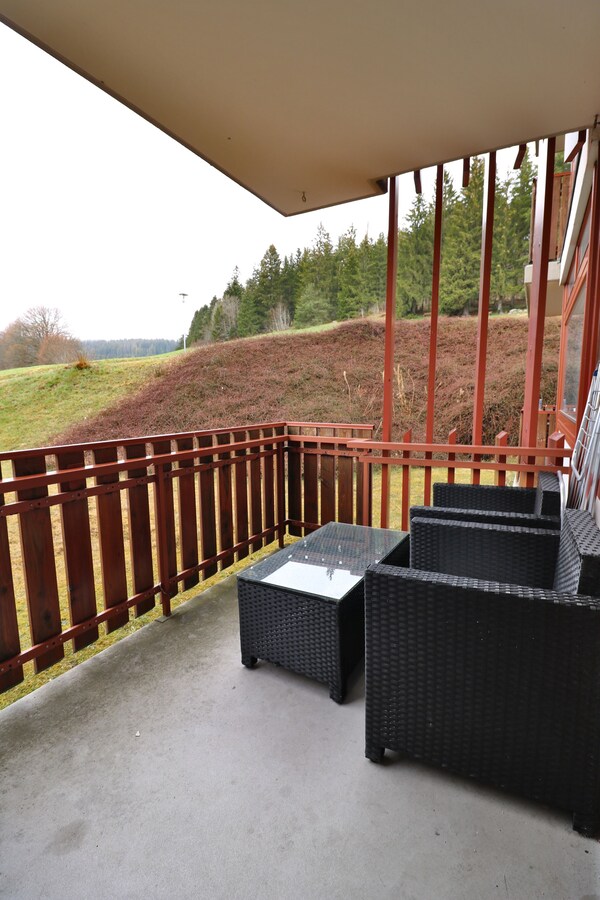 Ferienwohnung/app. Für 4 Gäste Mit 43m² In Schluchsee - Hinterzarten