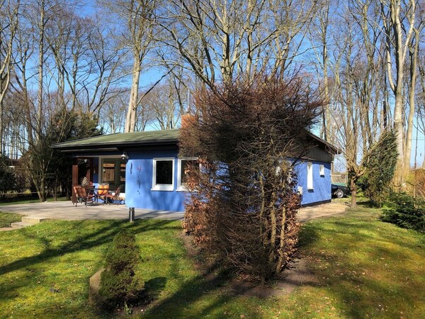 Ferienhaus Für 6 Gäste Mit 100m² In Graal-müritz - Rostock
