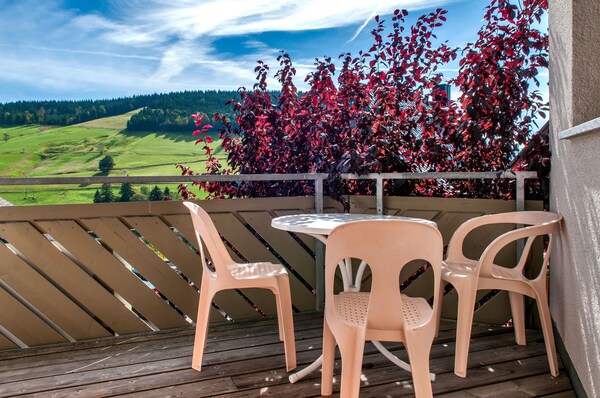 Ferienwohnung/app. Für 4 Gäste Mit 40m² In Todtnau- Todtnauberg (183846) - Todtnauberg