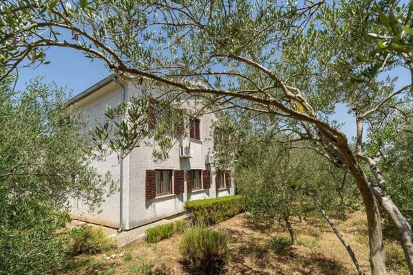 Holiday House With A Parking Space Preko, Ugljan (K-20969) - Zadar