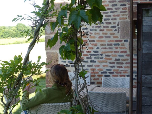 Gîte Le Colombier  Hébergement De Charme Au Cœur Du Hameau Des Damayots - Allier