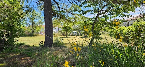 Family House In Reillanne In Luberon, Quiet, Sunny For Your Family - Luberon