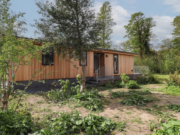 Blackthorn Copse, Pet Friendly, With A Garden In Haverthwaite - Newby Bridge