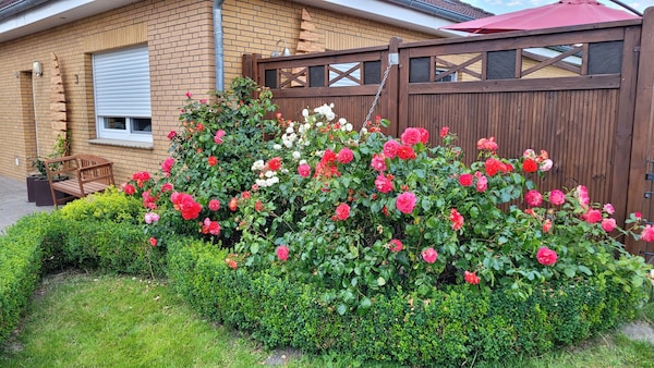 Ferienhaus Für 4 Gäste Mit 100m² In Hinte - Emden