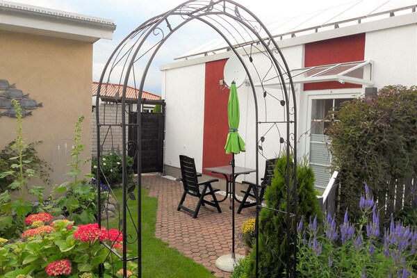 Ferienwohnung Mit Südterrasse Zwischen Bodden Und Meer - Ahrenshoop