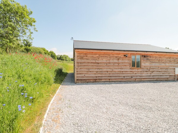 Watermead Lodge, Pet Friendly, With A Garden In Stogumber - Watchet