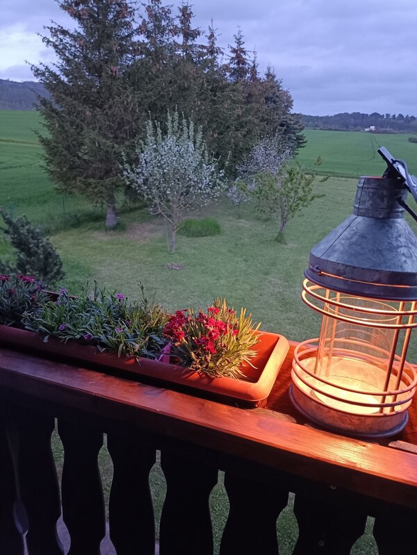 Ferienhaus Mit Sauna Und E-ladestation - Bad Liebenstein