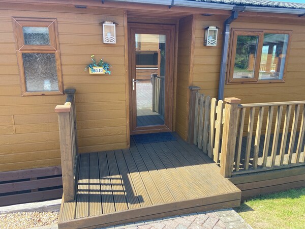 Mojo, Pet Friendly In Ilfracombe - Ilfracombe