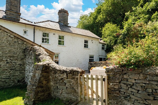 Fron Dderw, Pet Friendly, Character Holiday Cottage In Bala - Bala