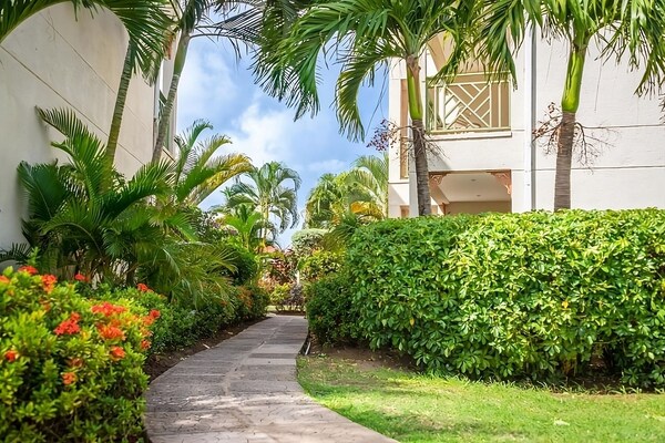 Discover Rodney Bay Marina! Two Relaxing And Modern Units, Beachfront, Pool! - Sainte-Lucie