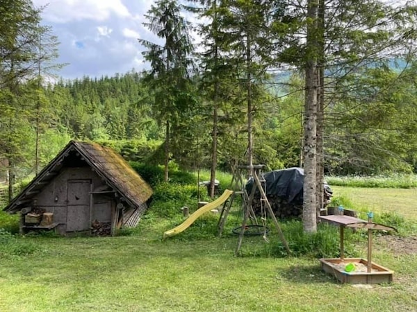 Ferienhaus Für 10 Gäste Mit 160m² In Mitterstoder (189887) - Liezen