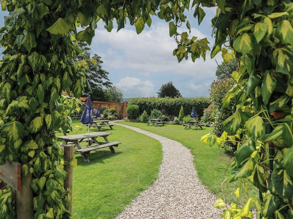 Celyn, Pet Friendly, Character Holiday Cottage In Llangadfan - Wales