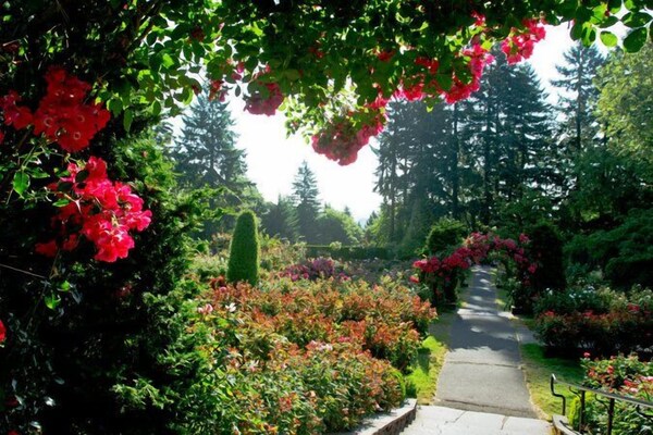 Three Stylish And Pet-friendly Accommodations Close To Int'l Rose Test Garden! - Oregon