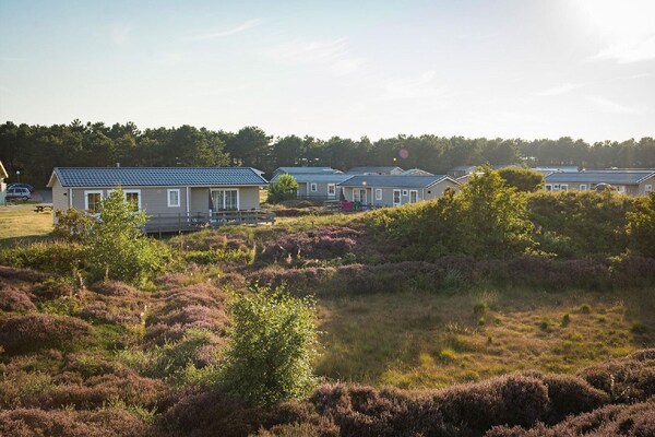 Comfortable Chalet In The Texel Dune Areal - Texel