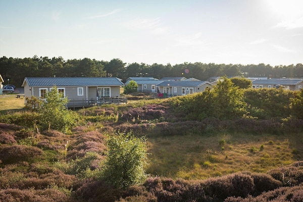 Comfortable Chalet In The Texel Dune Areal - Texel