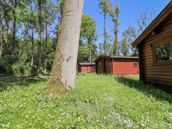 64 Acorn Lodge Kenwick Park, Pet Friendly, With Hot Tub In Louth - Louth