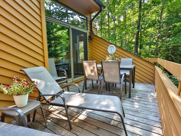 Trout Creek Condo #108 - Harbor Springs Michigan - Harbor Springs, MI